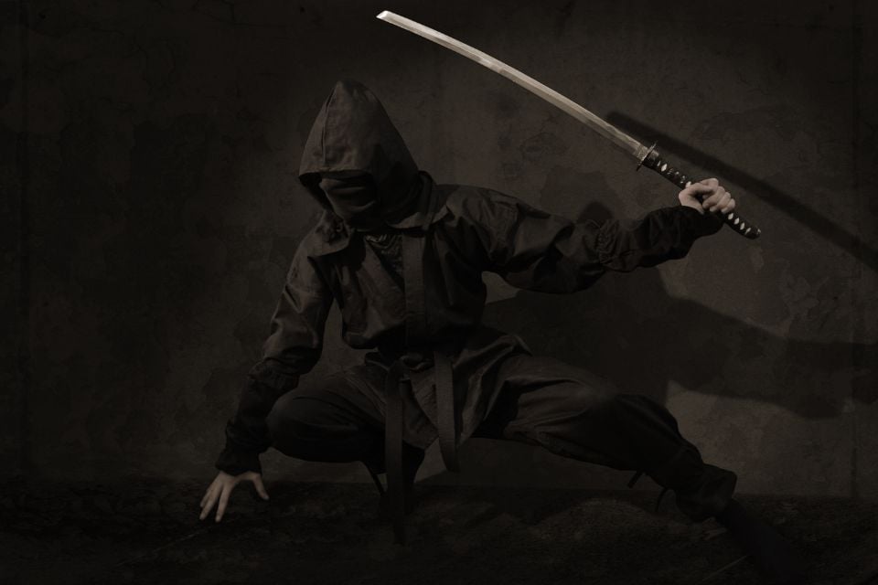 Exploring the World of Ninjas: History, Culture, and Modern-Day ...